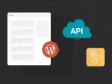 Wordpress Api Integration Comapny Wpxstudios