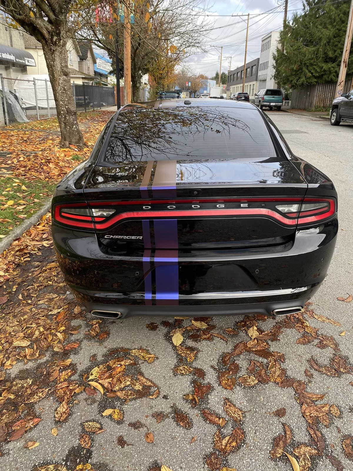 Custom Car Wraps - Wrap'n'Ride - Car Wraps Vancouver