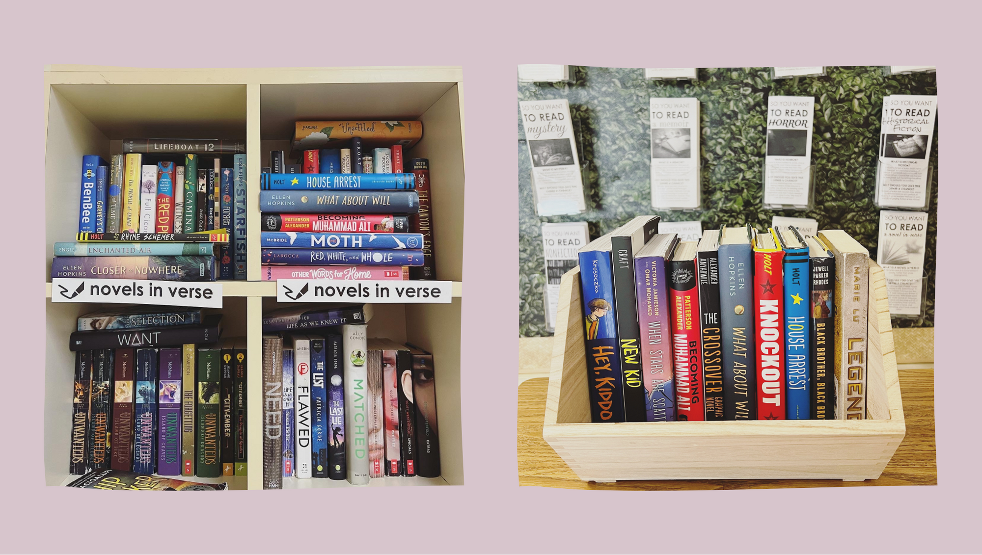 Creating a Strong Classroom Library: FAQ Part 2 - Write on With Miss G