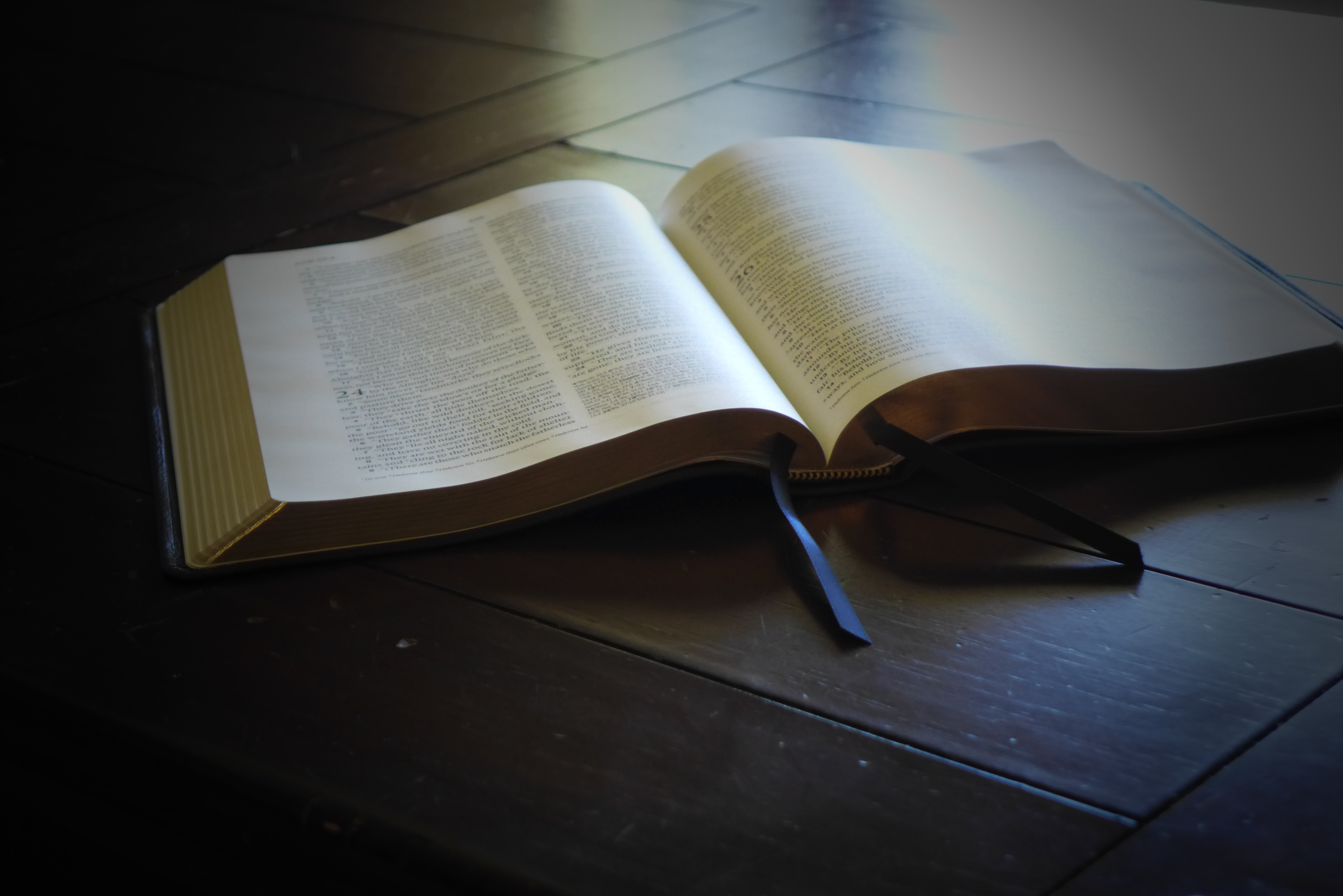 ESV Verse-by-Verse Reference Bible in Top Grain Leather – Holy Writ ...