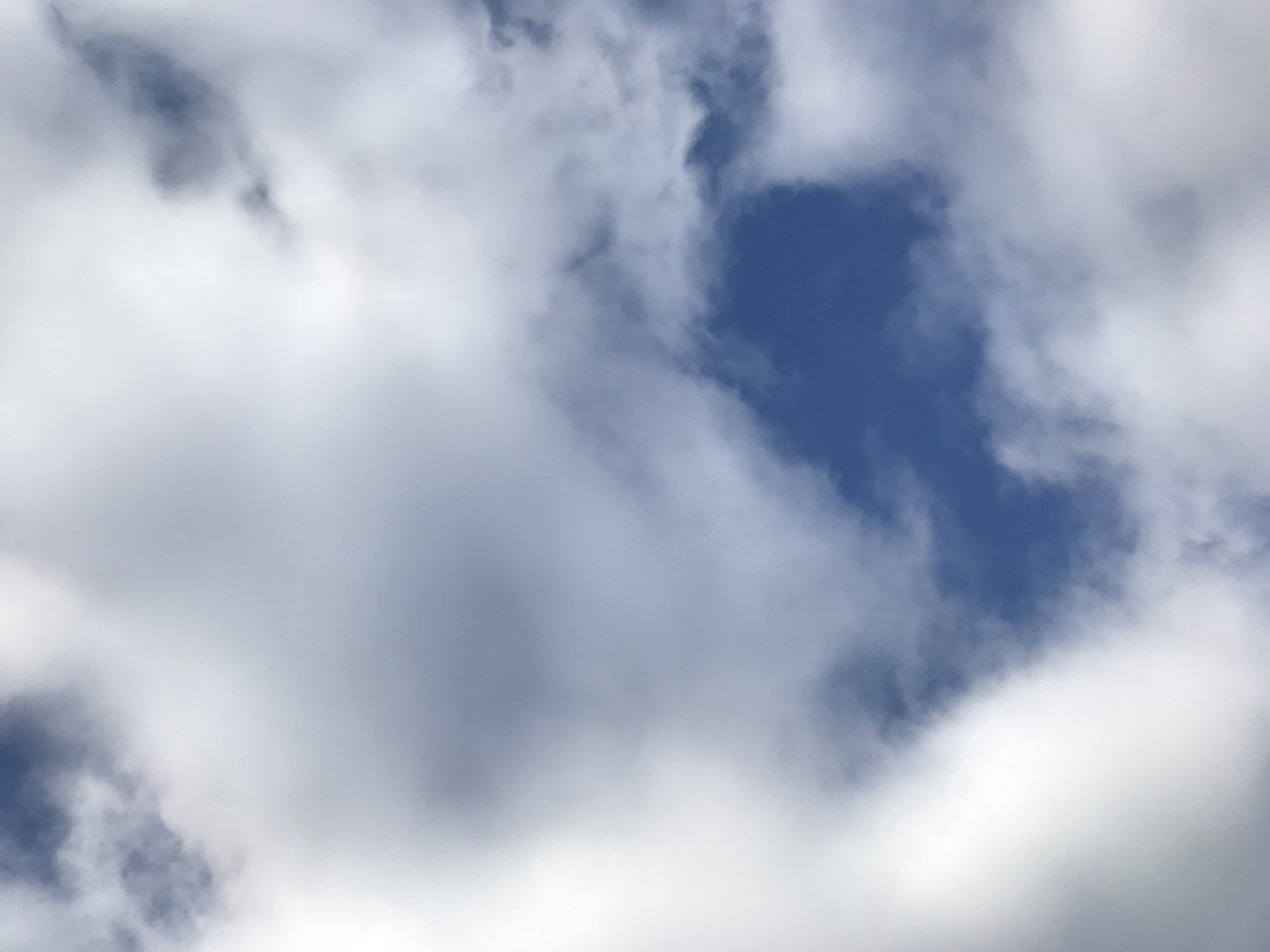 Poem – Transformation – William Ricci