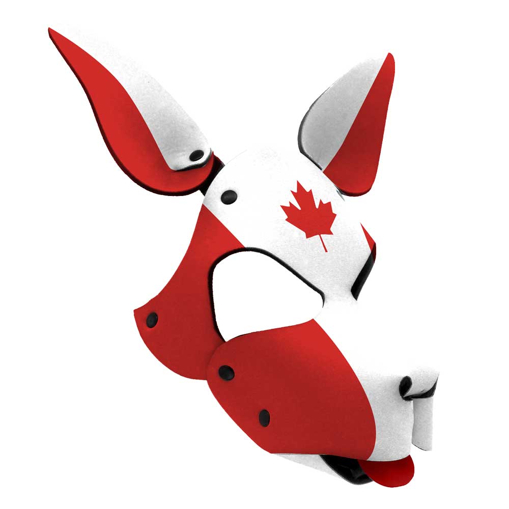 Flagmaniac Pup Hood - Wruff Stuff