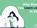 Why You Should Learn Java Now Professional Career Guide