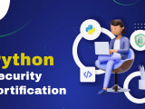 Secure Python Web Development Fortify Your Code With Robust Security