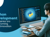 Python Development Companies Revolutionizing Tech Innovation