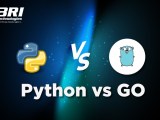 Python Vs Go Golang Which To Choose Expert Guide 3ritechnologies