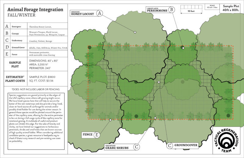 TreeGuildPaddockLayoutK&K | 7th Generation Design