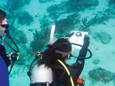 PADI Underwater Navigator Course | ABC Diving Malta