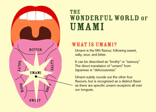 Umami Infographics The U Matrix Abokichi
