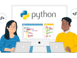Python Development Services Python Development Agency