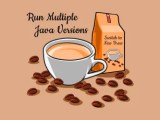 How To Switch Between Multiple Versions Of Java