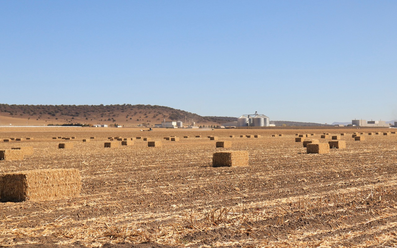 Inicia capacitación a ganaderos en elaboración de silo de rastrojo ...