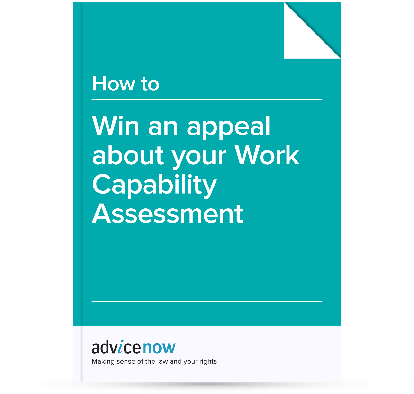 How To Win A Work Capability Assessment Appeal 2023 how-to-win-a-work-capability-assessment-appeal-2023