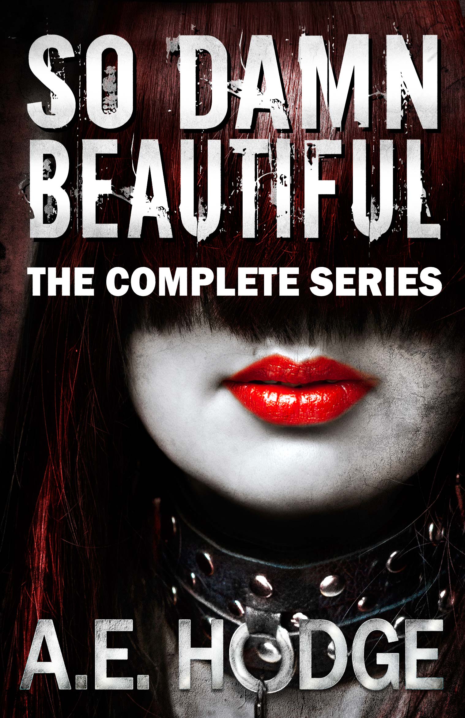 So Damn Beautiful: The Complete Series - A.E. Hodge