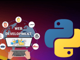 The Importance Of Python In Web Development