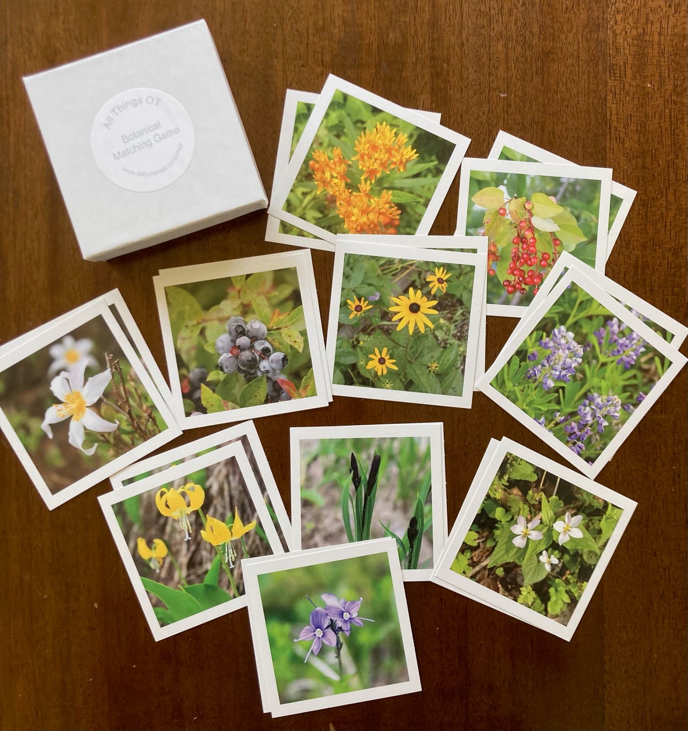 Botanical Matching Game – All Things OT