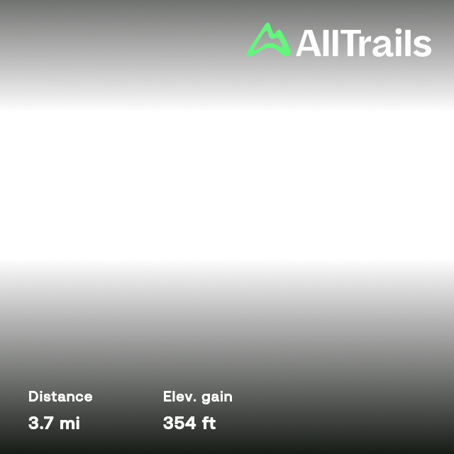 Twin Hills Dirtbike Ohv Path Texas 34 Reviews Map Alltrails