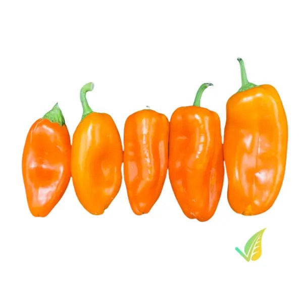 Buy Peperone Snack 800g Online • AlPassoFood