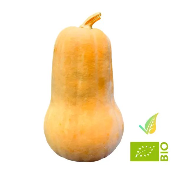 Acquista Zucca Butternut Biologico 1,5kg Online • AlPassoFood