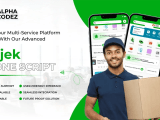 Gojek Clone Script Launch Your Own Multiservice Platform