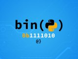 Python Bin Binary Values Handled With Ease αlphαrithms