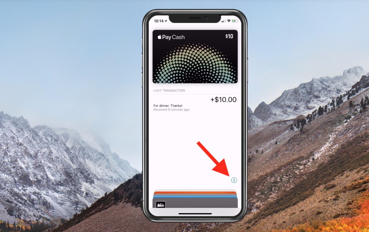 How to Transfer Apple Pay Cash to a Bank Account
