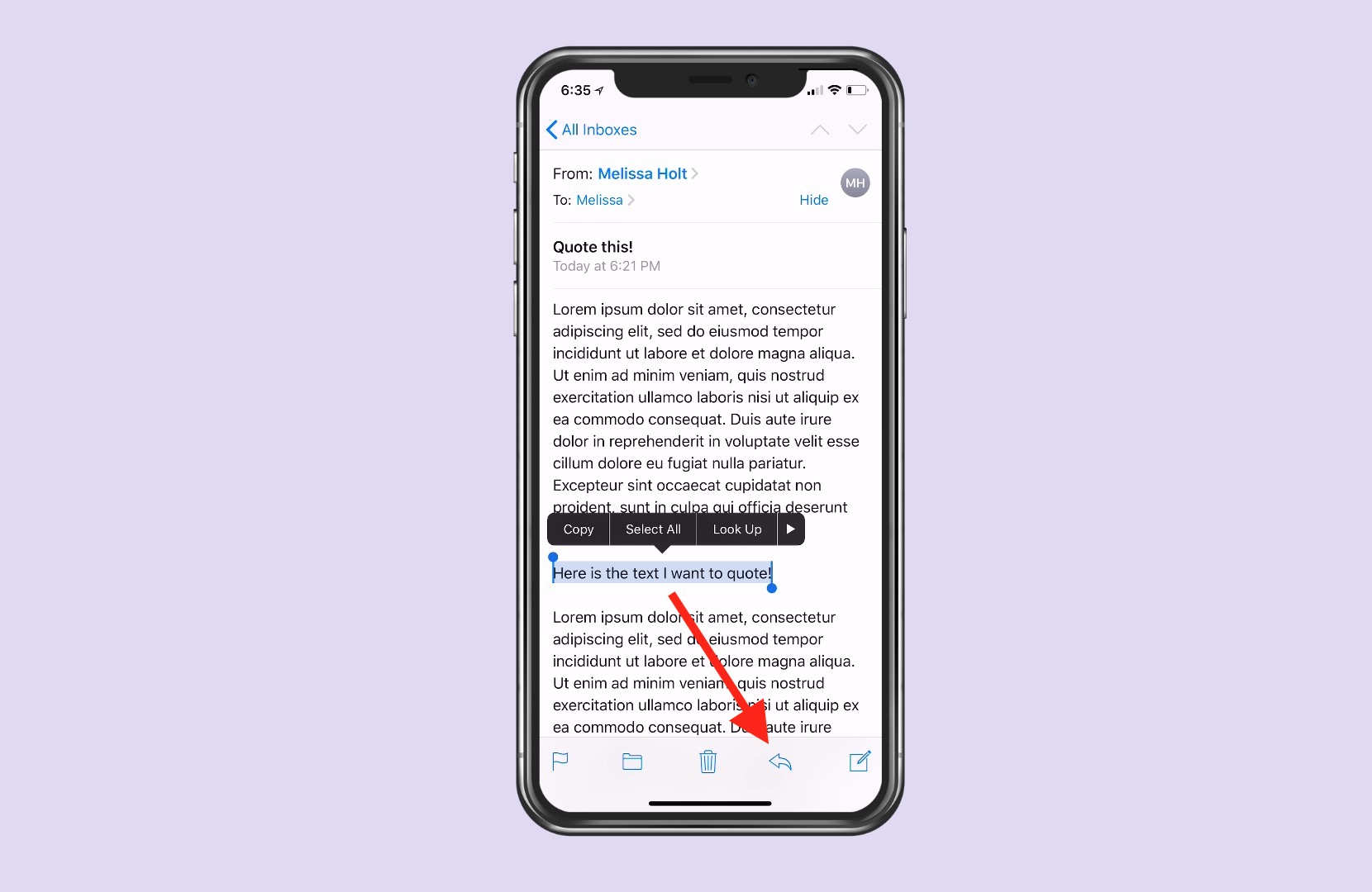 Apple Mail: How to Include Only Selected Text in Email Replies