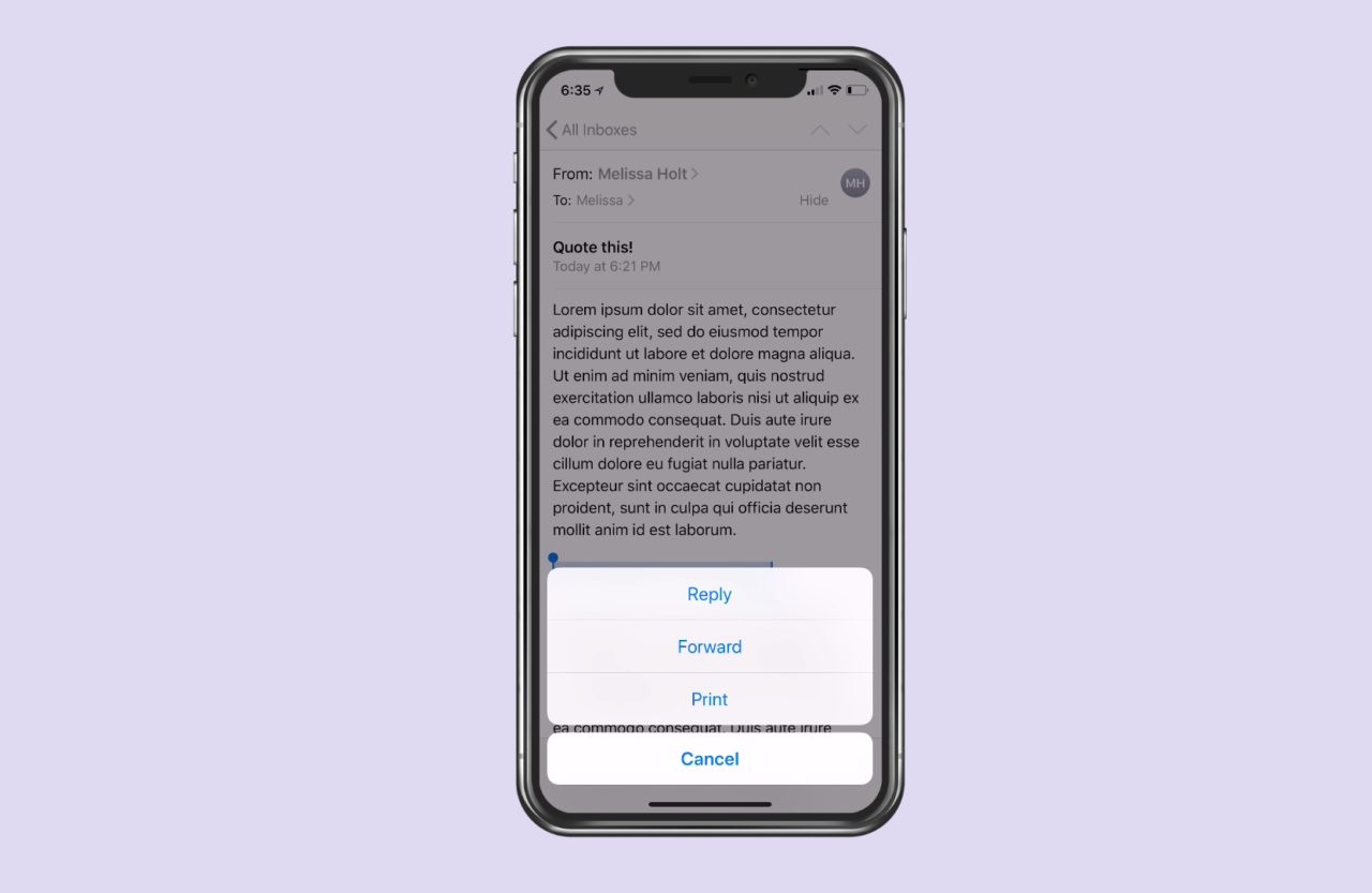 Apple Mail: How to Include Only Selected Text in Email Replies