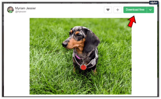 How To Automatically Open Downloads In Chrome how-to-automatically-open-downloads-in-chrome