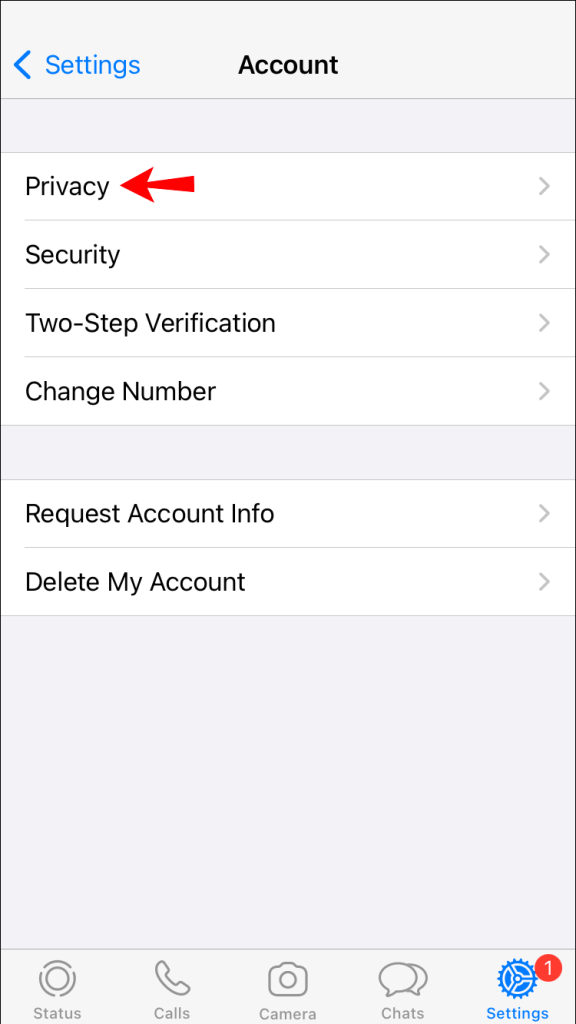 How To Hide Your Online Status On WhatsApp how-to-hide-your-online-status-on-whatsapp