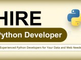 Hire Dedicated Python Developer Amar Infotech