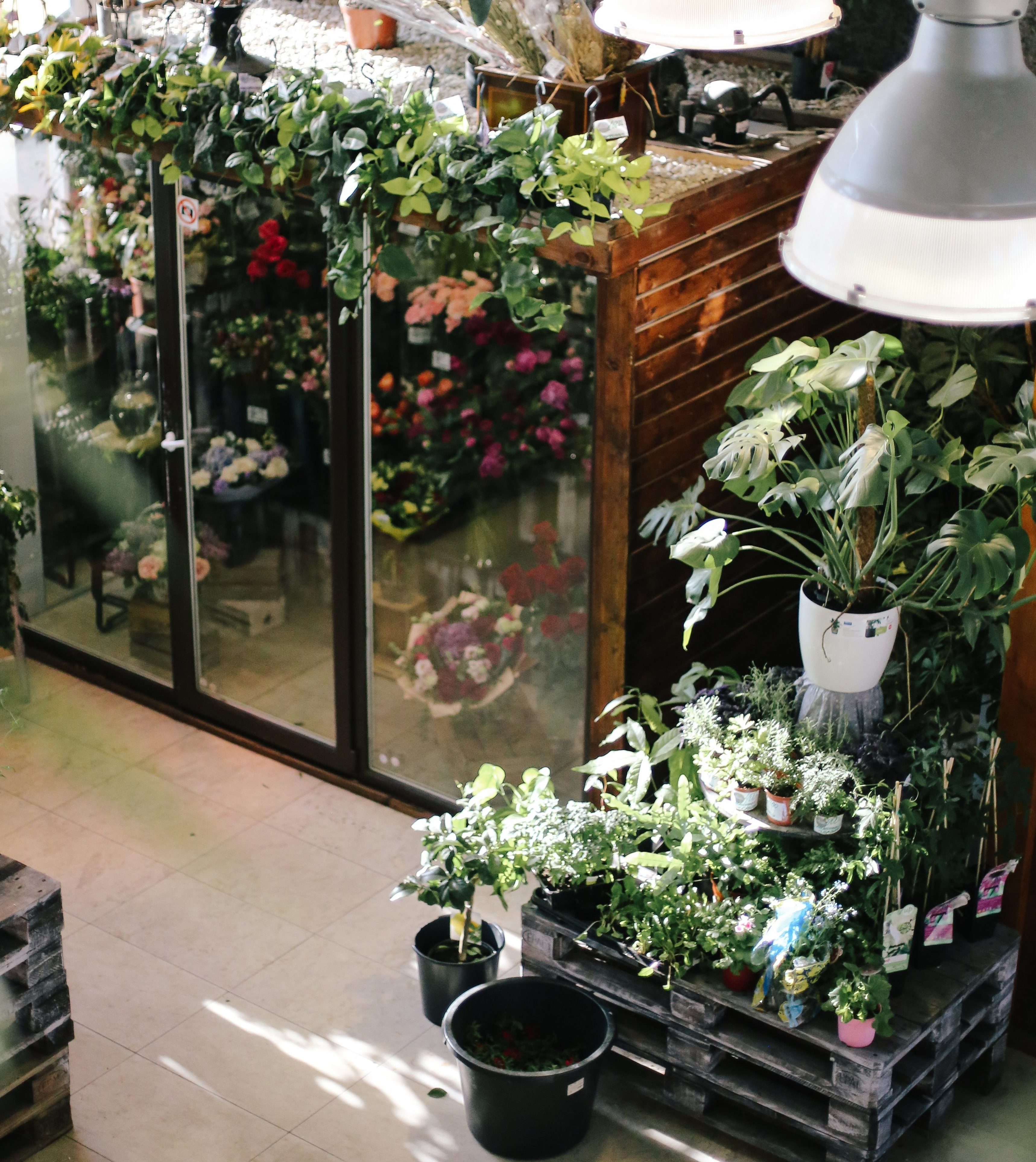 Architecture container decoration 1684004 Amy Ivan architecture-container-decoration-1684004-amy-ivan