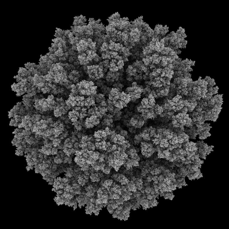 Diffusion-limited Aggregation | Softology's Blog