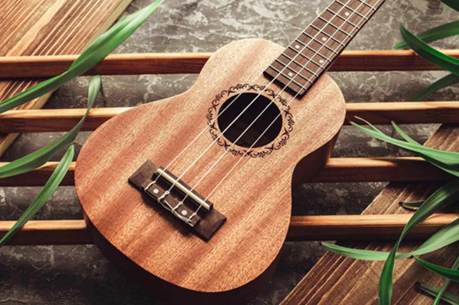 4 Interesting And Not So Common String Instruments You Should Know ...