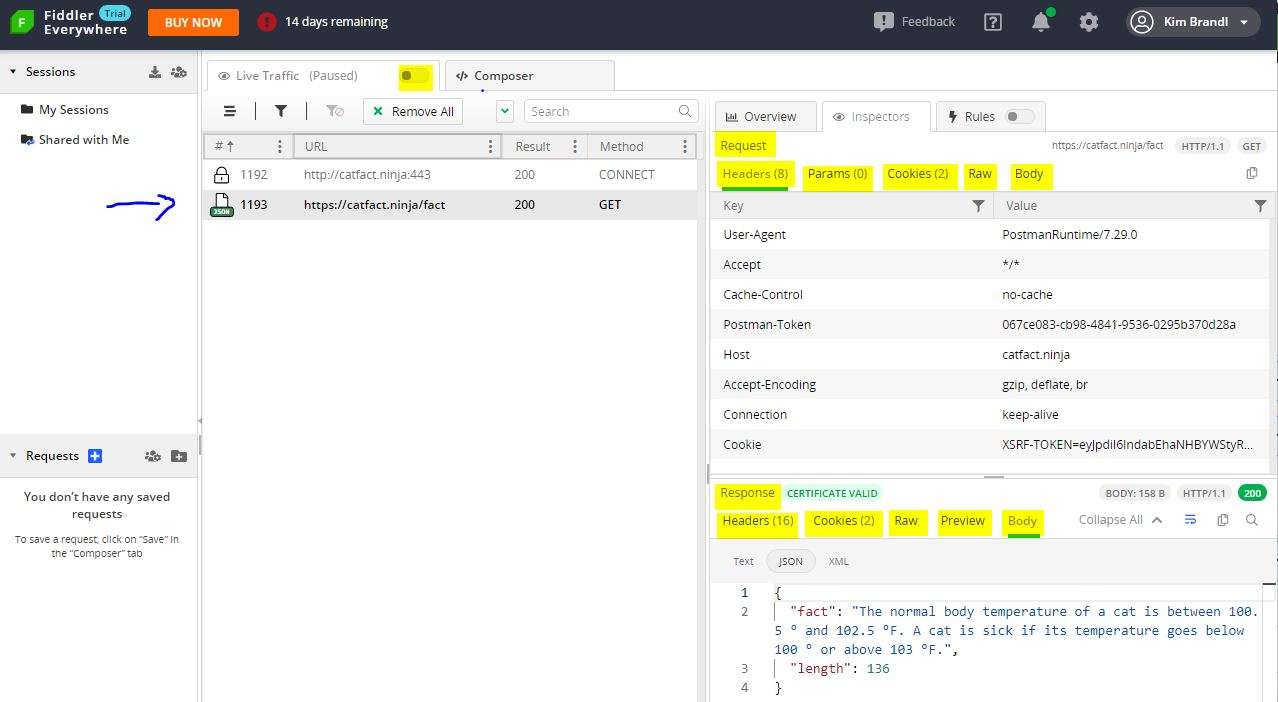 Troubleshooting API issues with Fiddler - API newbies