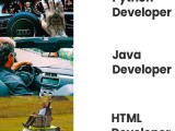 Python Developer Java Developer Aprogrammerlife