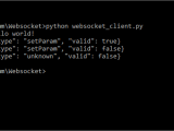 Websockets Server Client Communication With Python Aranacorp