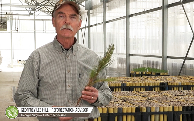 Do You Already Have A Forestry Consultant And Want To Learn More?