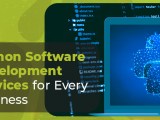 Python Software Development Services For Every Business