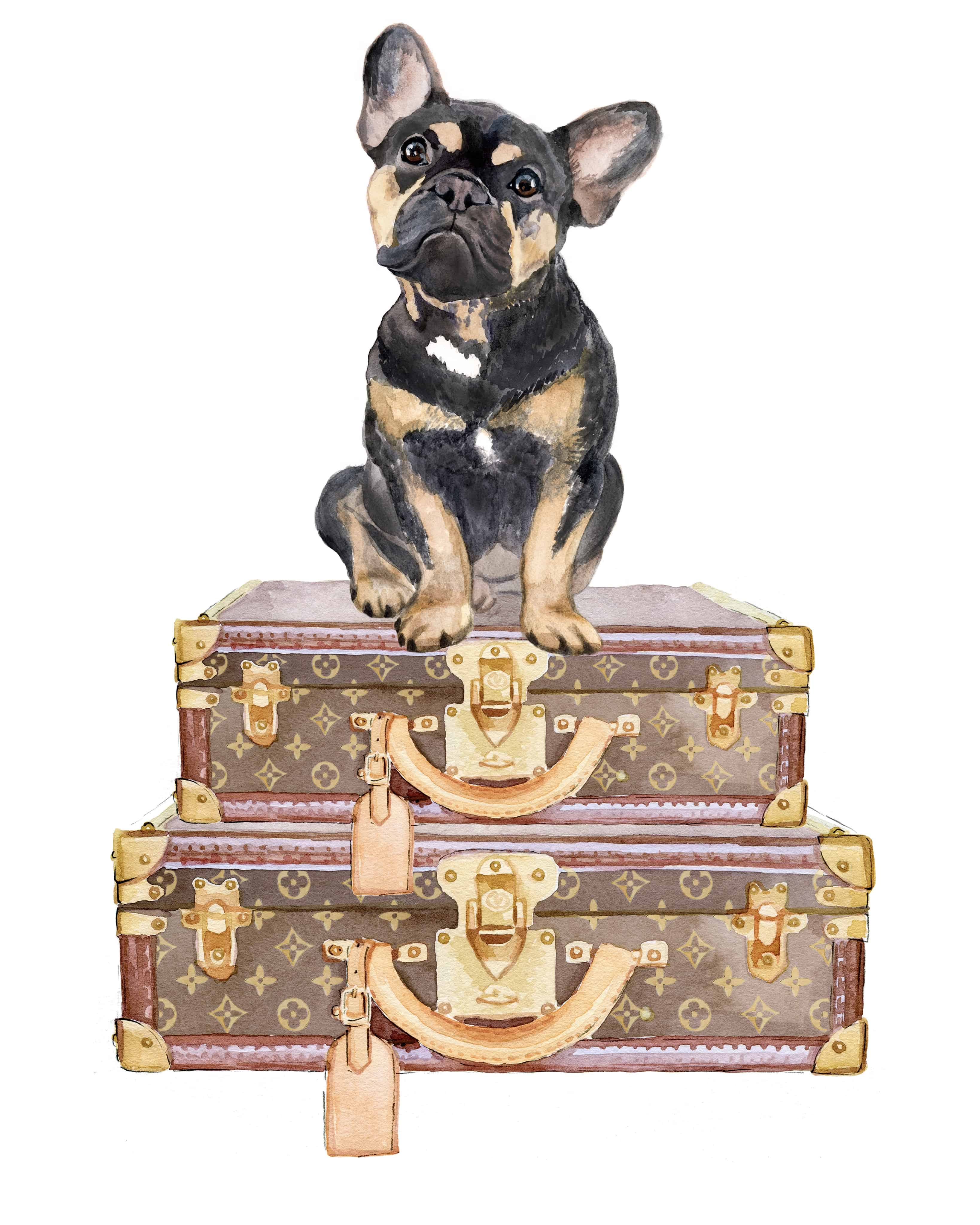 Flying JSX with a Dog