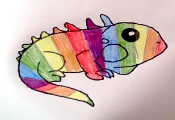 Rainbow Color Scheme Animals
