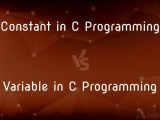Constant In C Programming Vs Variable In C Programming What S The