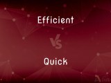Efficient Vs Quick What S The Difference