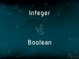 Integer Vs Boolean What S The Difference