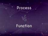 Process Vs Function What S The Difference