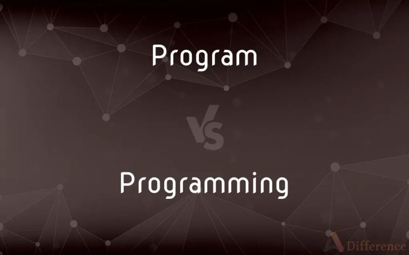 Program Vs Programming Difference And Comparison Prep My Career - 8K Landscape Wallpapers for Desktop