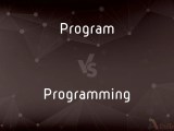 Program Vs Programming What S The Difference