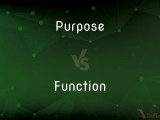 Purpose Vs Function What S The Difference