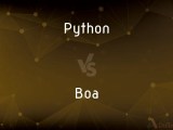 Python Vs Boa What S The Difference