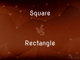 Square Vs Rectangle What S The Difference